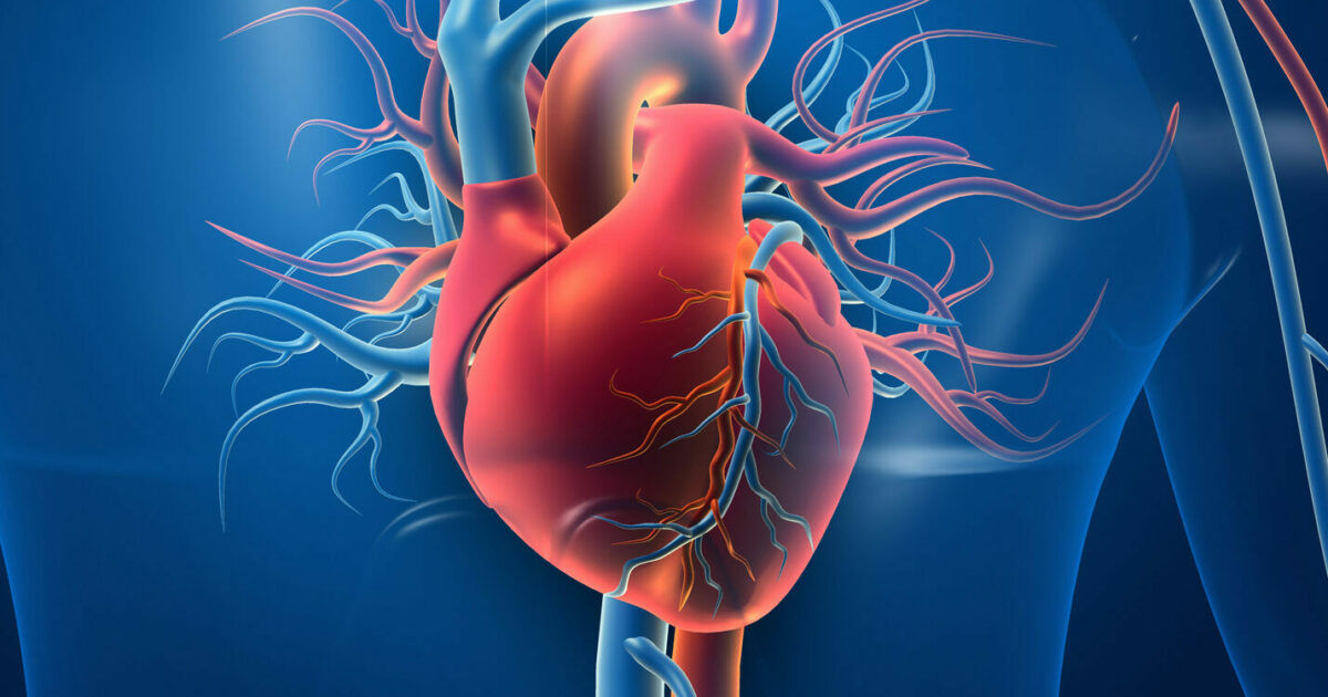 Cardiovascular disease: impacts and risks • Heart Research Institute